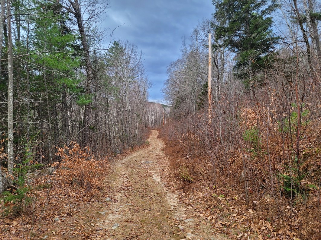 Richard Sosis – Personal Website of Professor of Anthropology, Richard ...